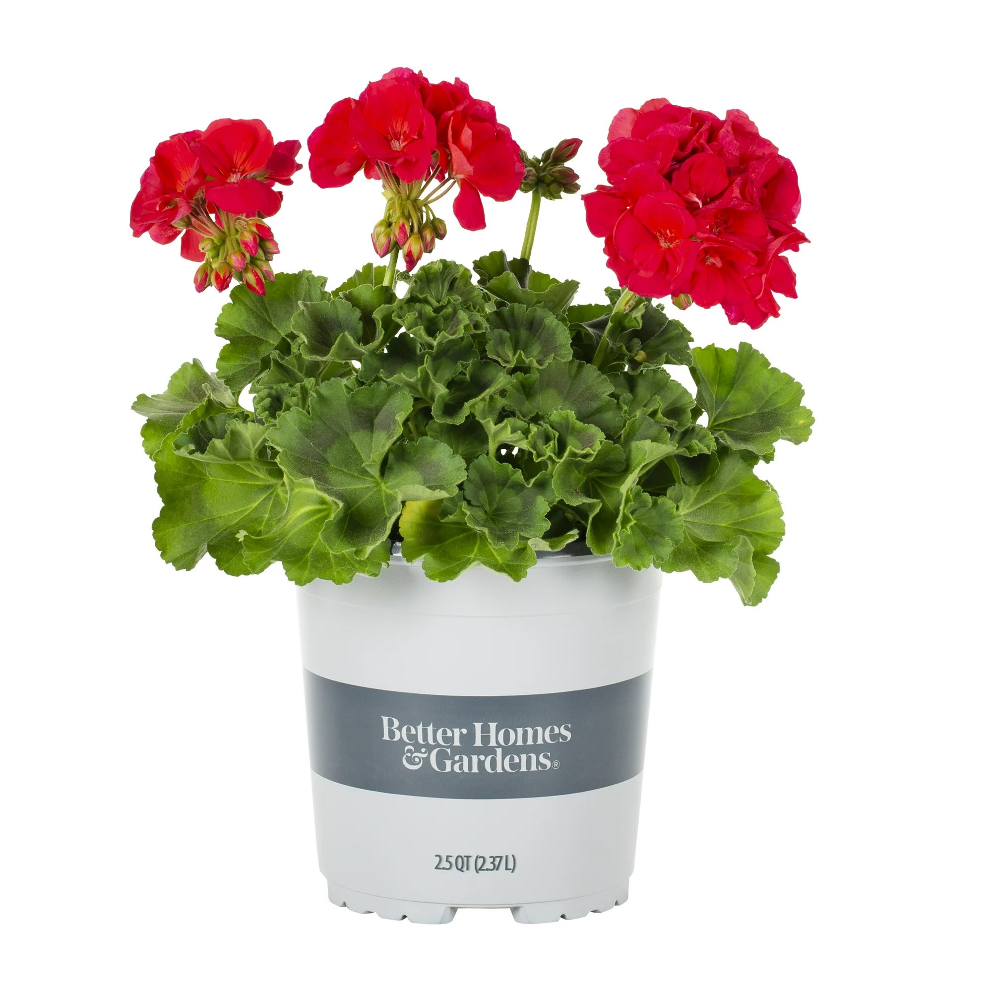 RED-iculous Teacher End of School Year Appreciation Gift