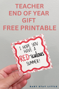 RED-iculous Teacher End of School Year Appreciation Gift